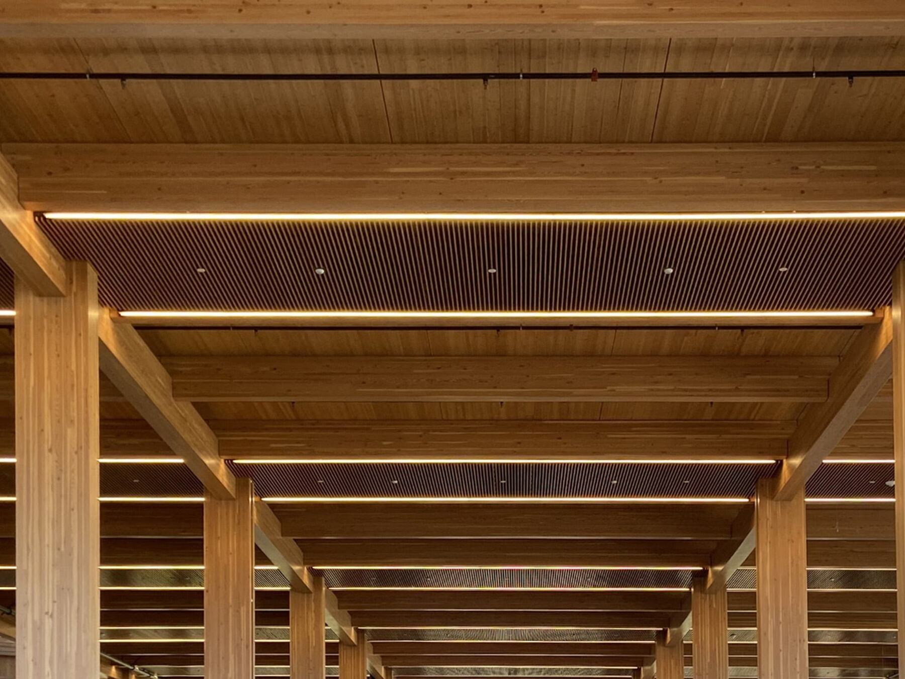 Mass Timber Office | SERA Architects