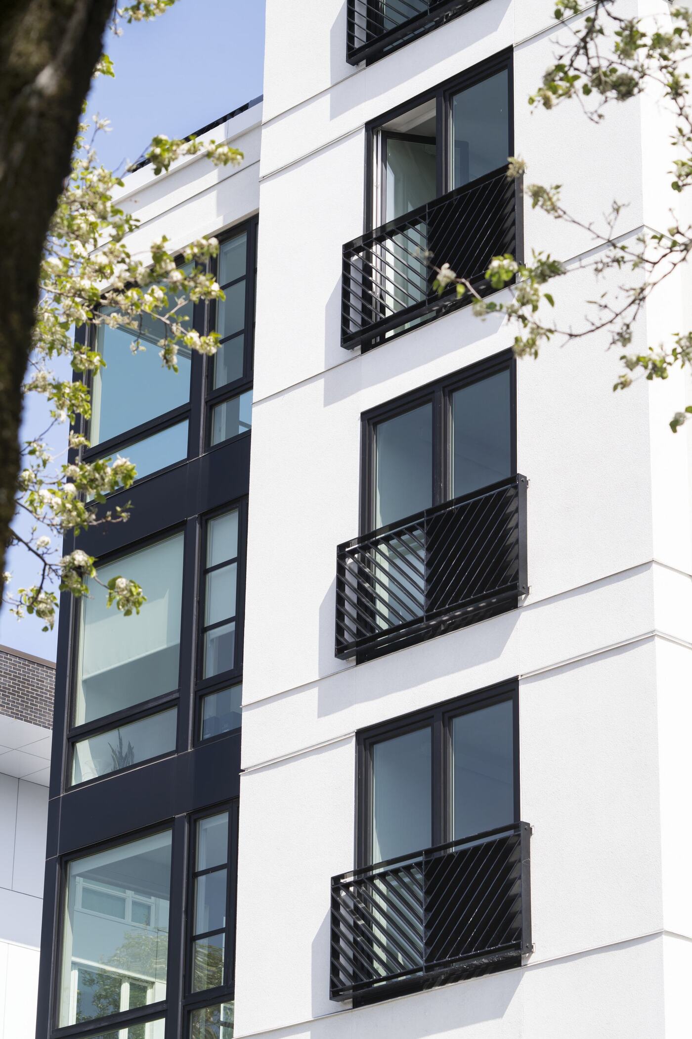 Denizen | SERA Architects