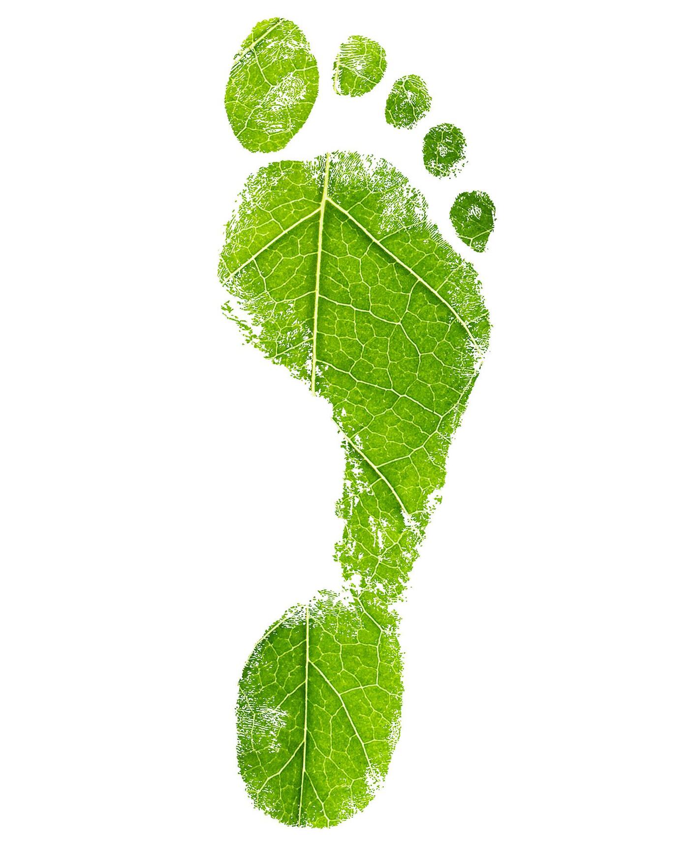 Caring for the planet, and ourselves