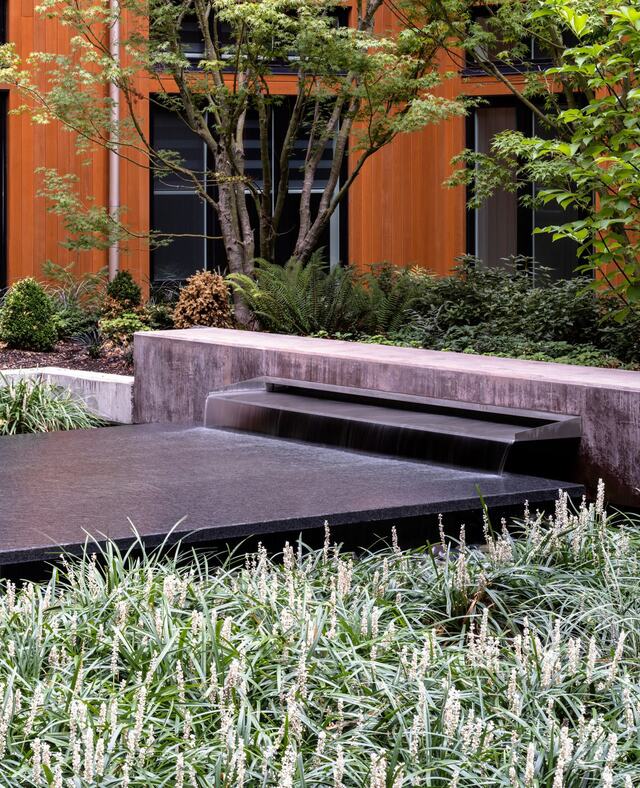 Saltwood | SERA Architects