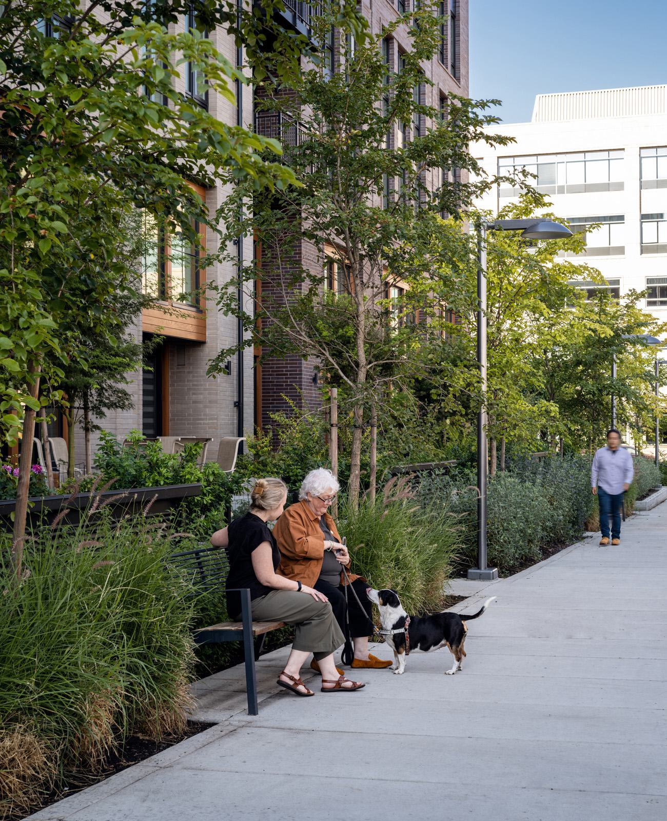 Saltwood | SERA Architects