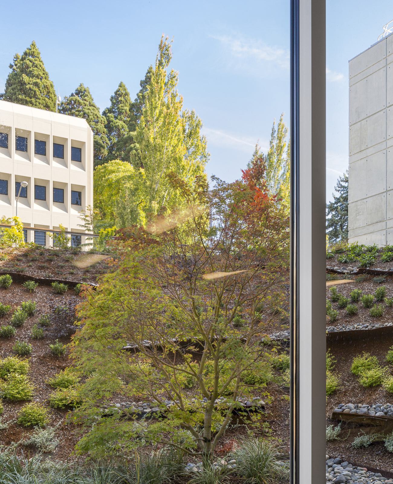 Charles D. Cameron Public Services Building Renovation | SERA Architects