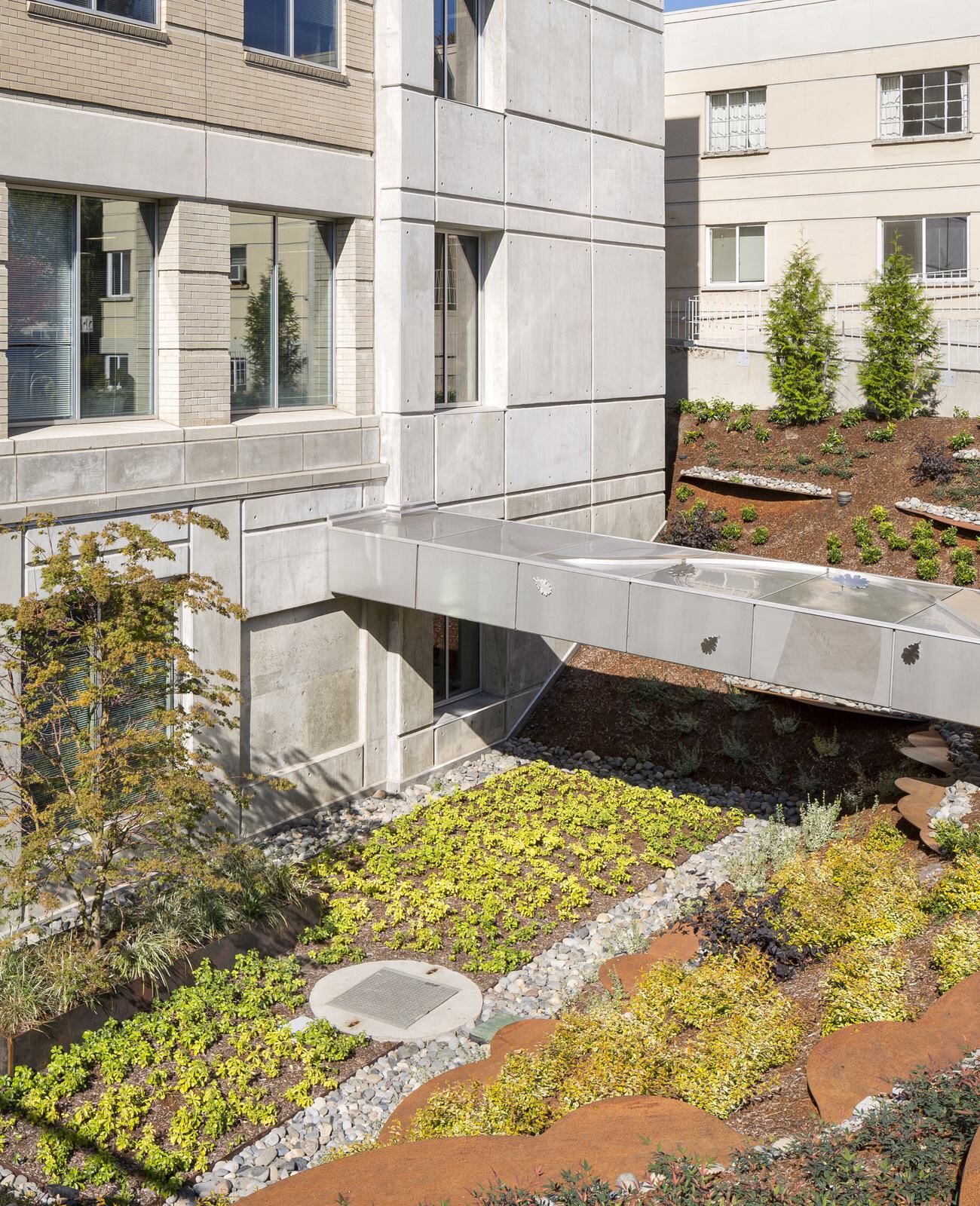 Charles D. Cameron Public Services Building Renovation | SERA Architects