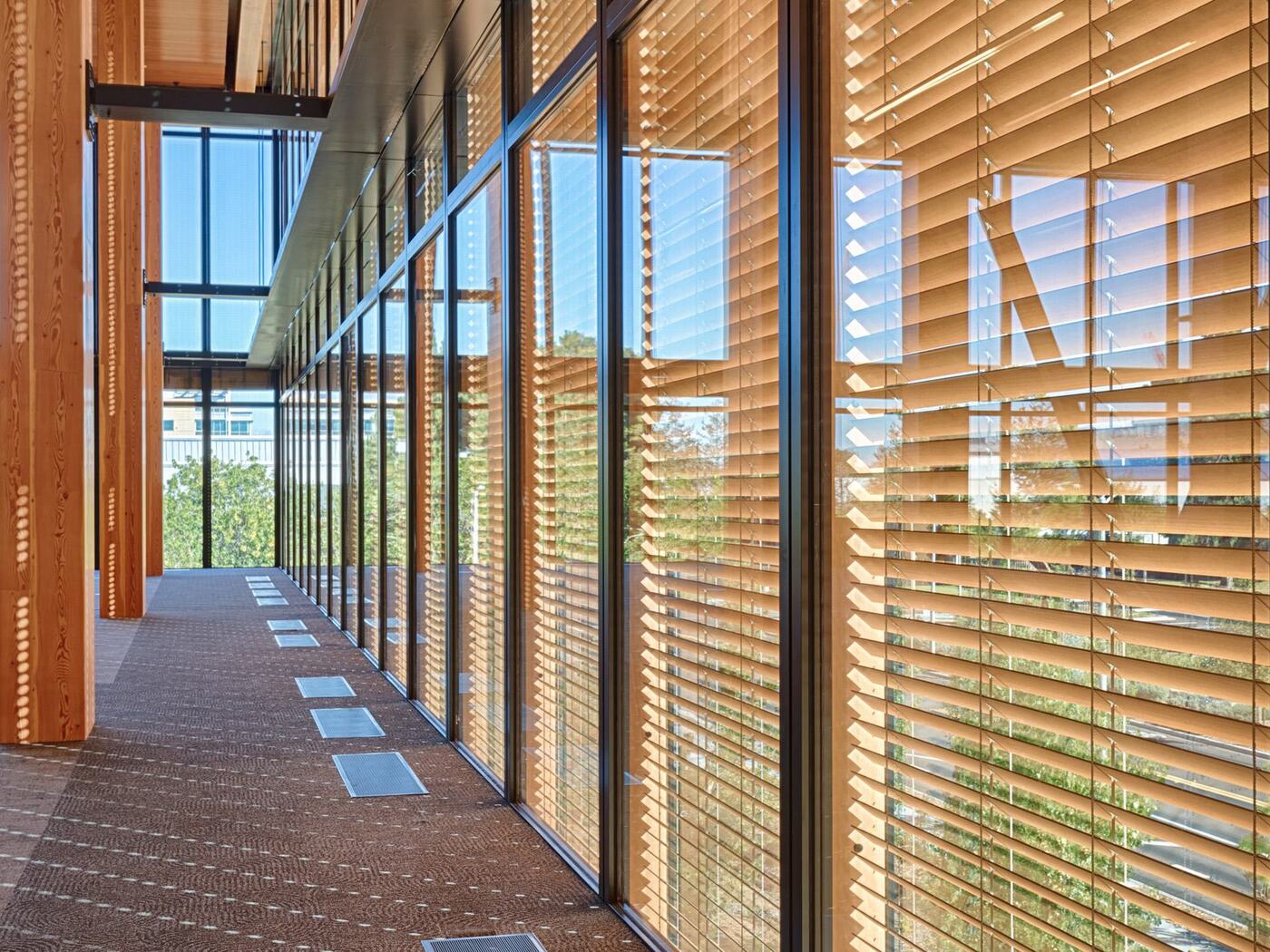 Mass Timber Office | SERA Architects